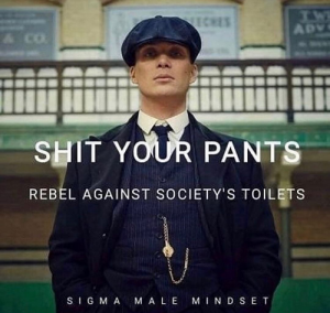 10+ Best Sigma Male Memes (+ Signs & Meme Origin!)